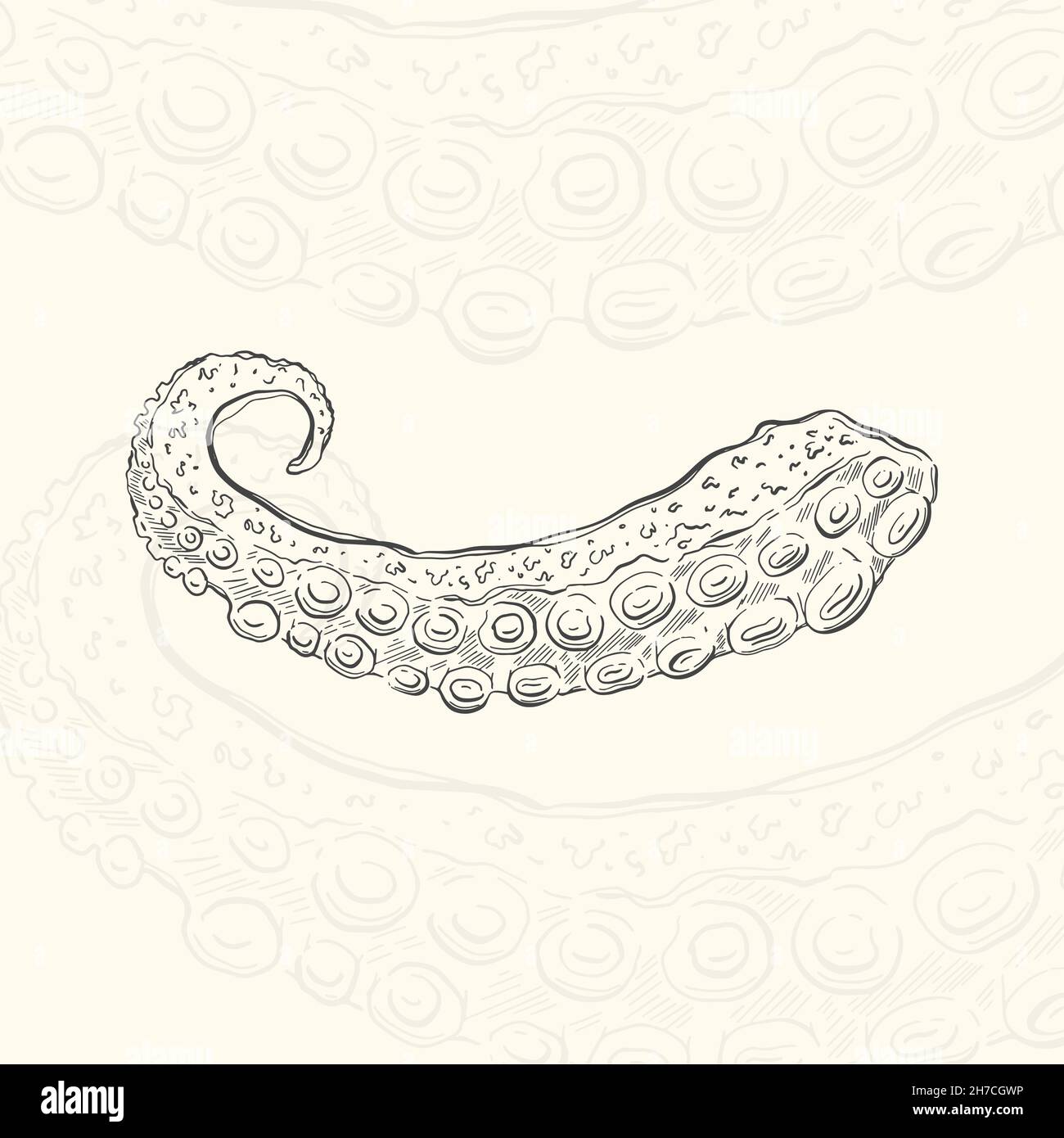 Squid Tentacles Drawing