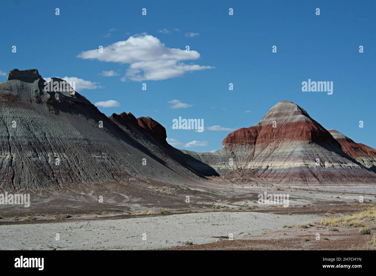 Petrified Forest National Park Adamana USA Stock Photo - Alamy