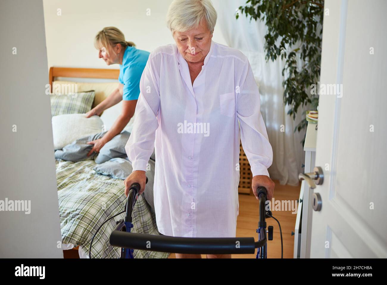 Elderly woman with rollator after a stroke in a rehab clinic with a ...