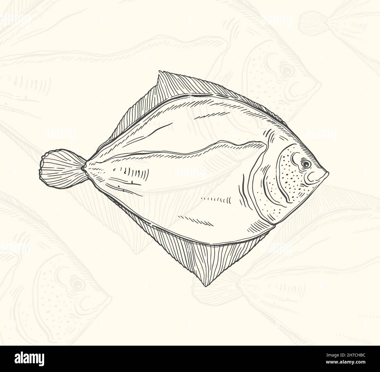 Illustration fish sketch food.Hand drawn element design menu. Isolated ...