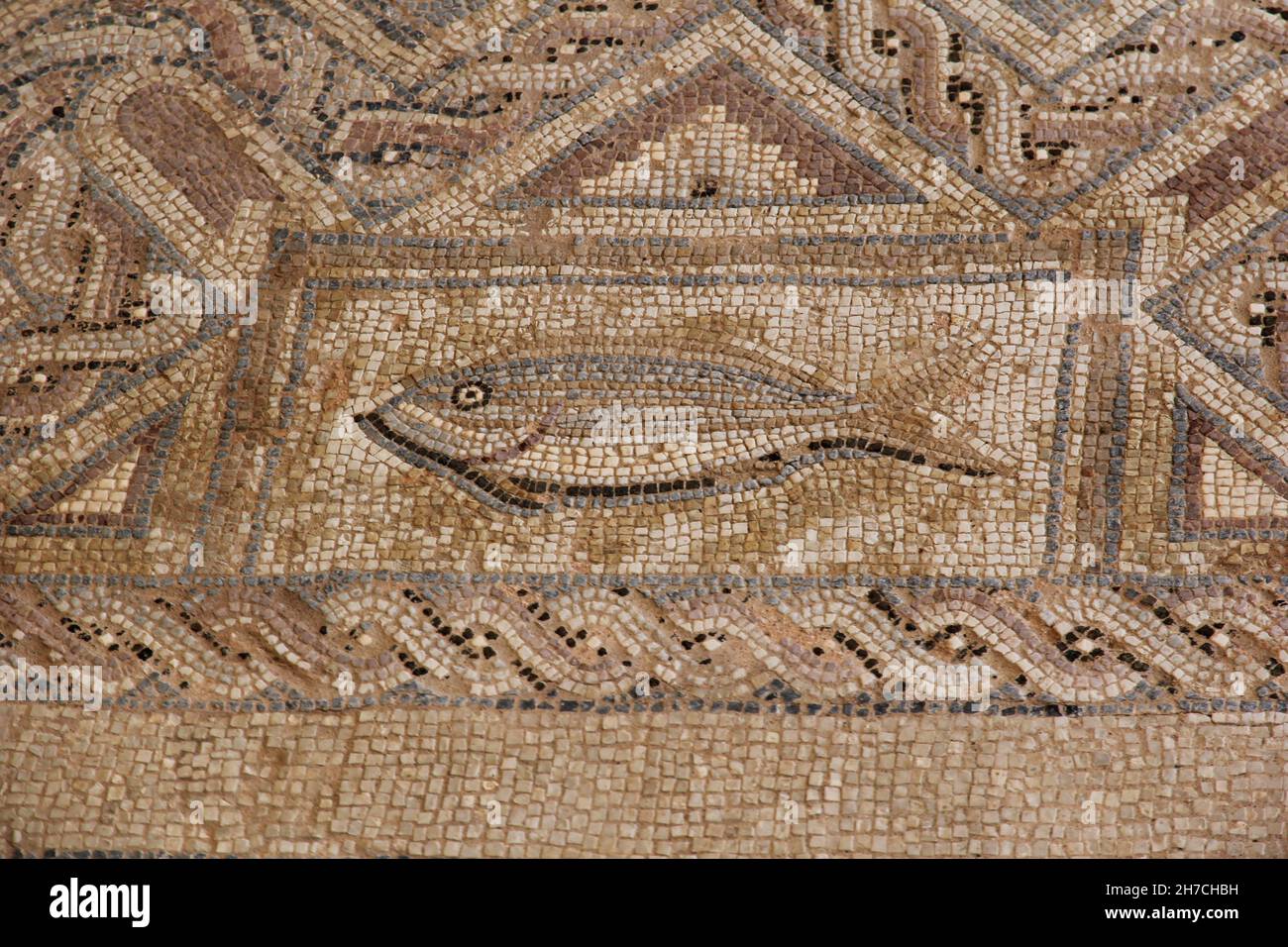 Old ancient mosaic floor with designed fish Cyprus Stock Photo - Alamy