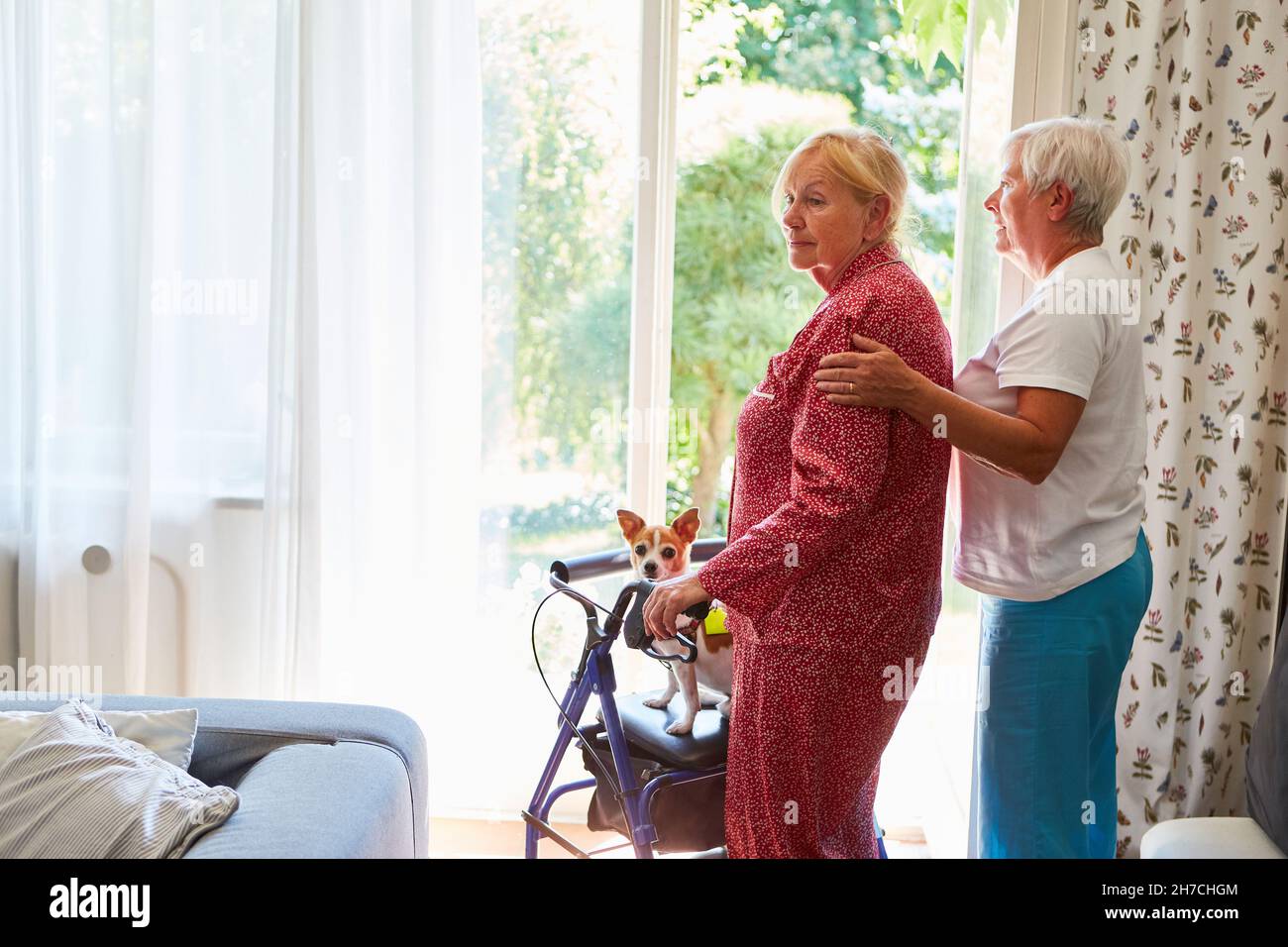 Woman nursing pet dog hi-res stock photography and images - Alamy