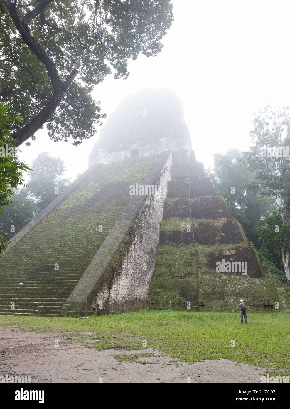 A tourist views Temple V shrouded in fog, part of the Tikal ruins ...
