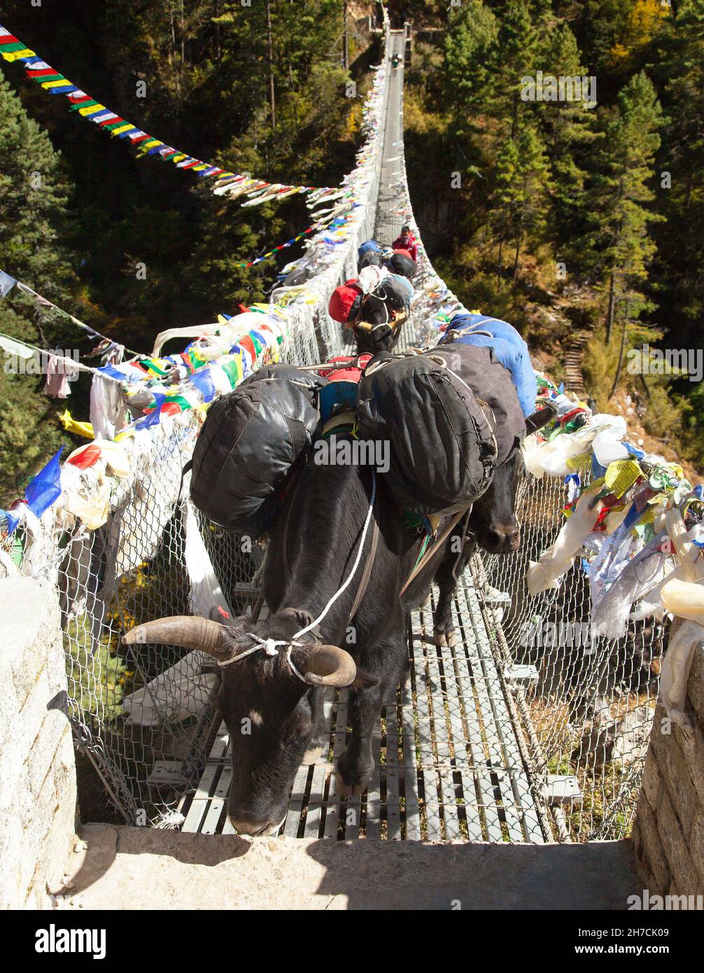 Everest foot expedition hi-res stock photography and images - Alamy