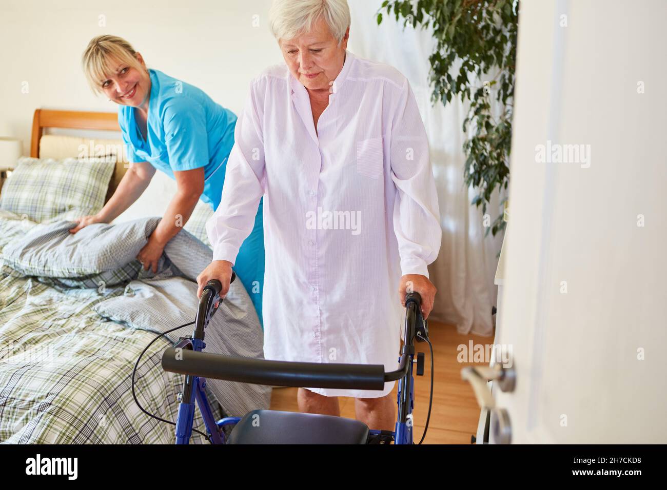 Elderly woman learns to walk with the rollator after a stroke with a ...