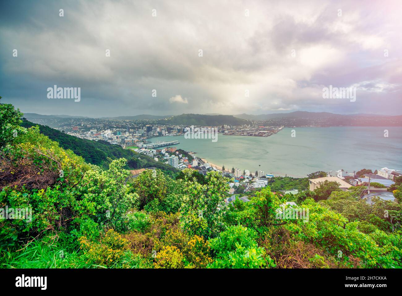 Wellington birds eye view hi-res stock photography and images - Alamy