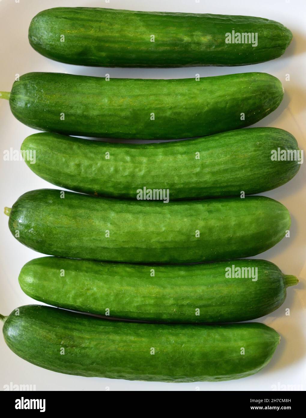 Isolated Portrait of Fresh Pickling Pickles Waiting to be Sliced Stock ...