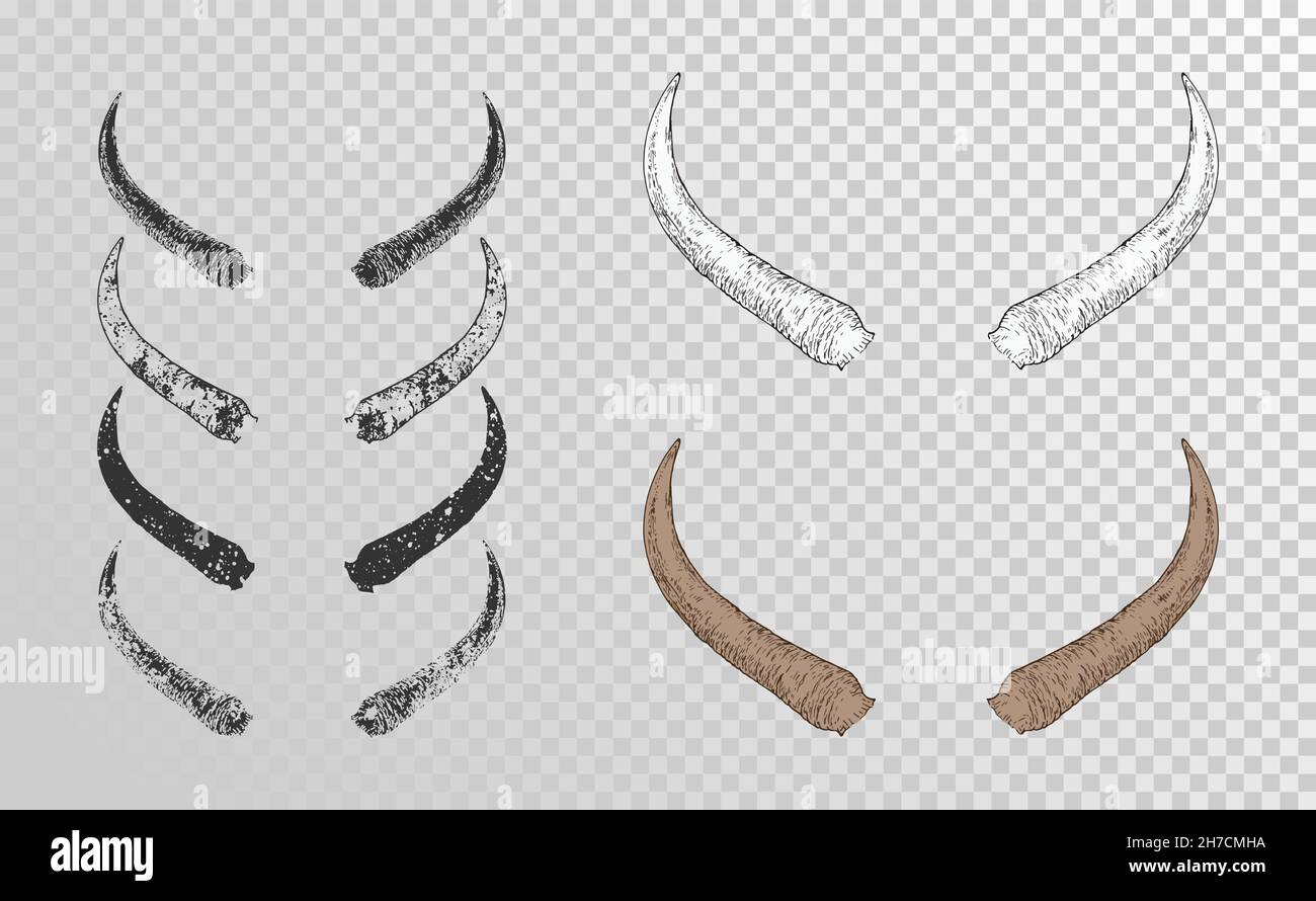 Buffalo horns trophy Stock Vector Images - Alamy