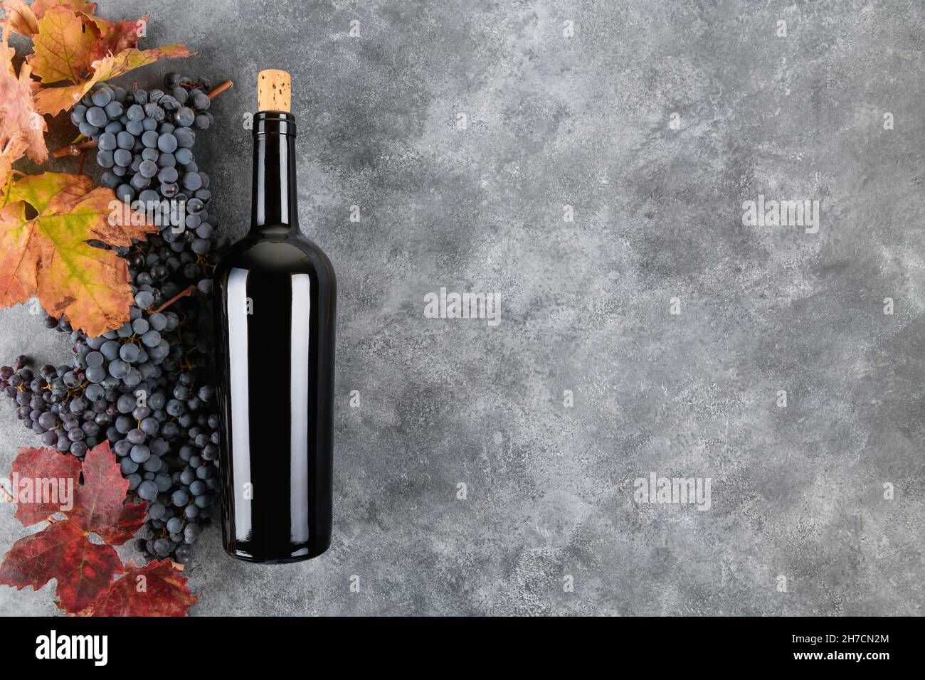 Primitivo grapes hi-res stock photography and images - Alamy