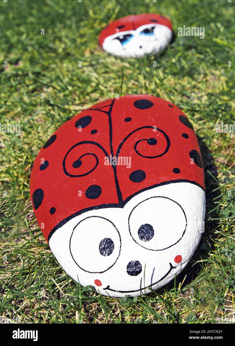 stones painted as ladybugs in a meadow , Italy, Aosta Valley, Saint ...