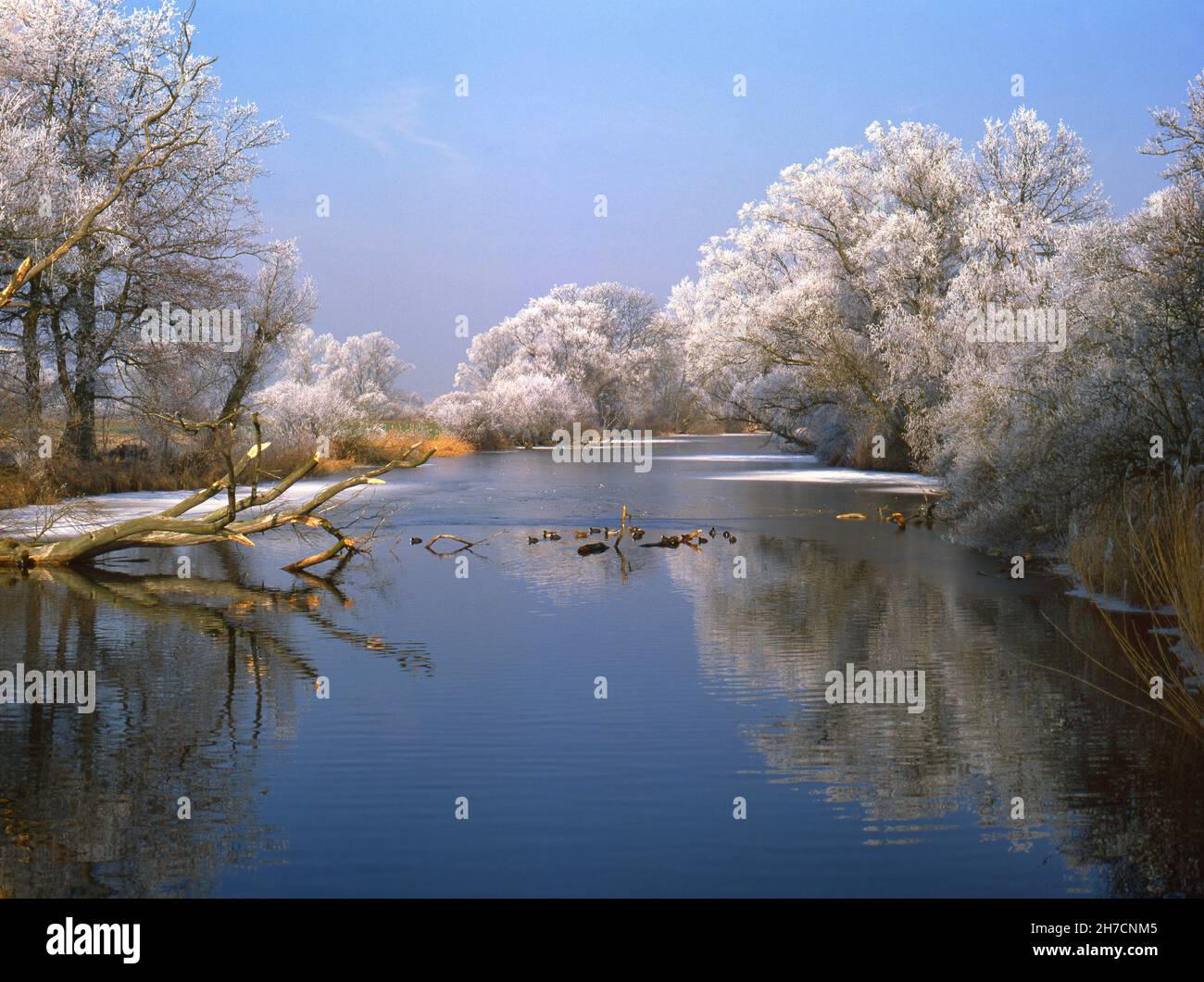 Lakeswinter hi-res stock photography and images - Alamy