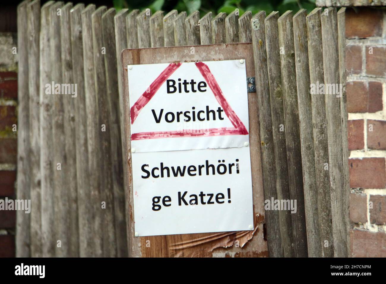 domestic cat, house cat (Felis silvestris f. catus), original sign for ...