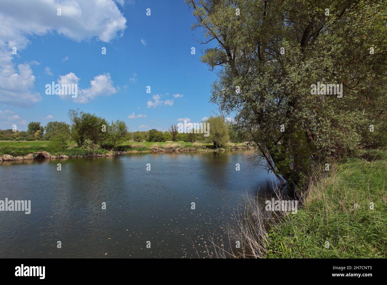 Zolling hi-res stock photography and images - Alamy