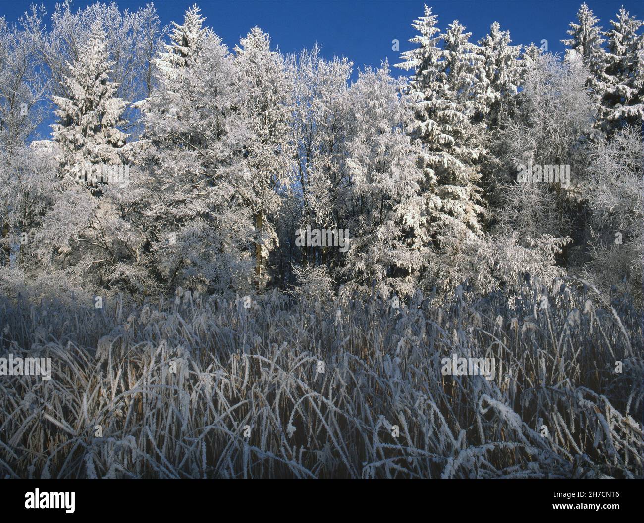 Billabongs hi-res stock photography and images - Alamy