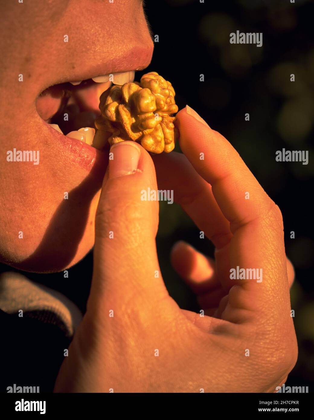 Walnuts girl hi-res stock photography and images - Alamy