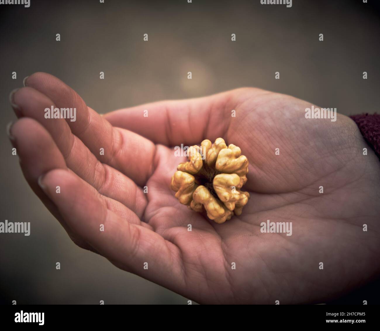 Walnut crack hand hi-res stock photography and images - Alamy