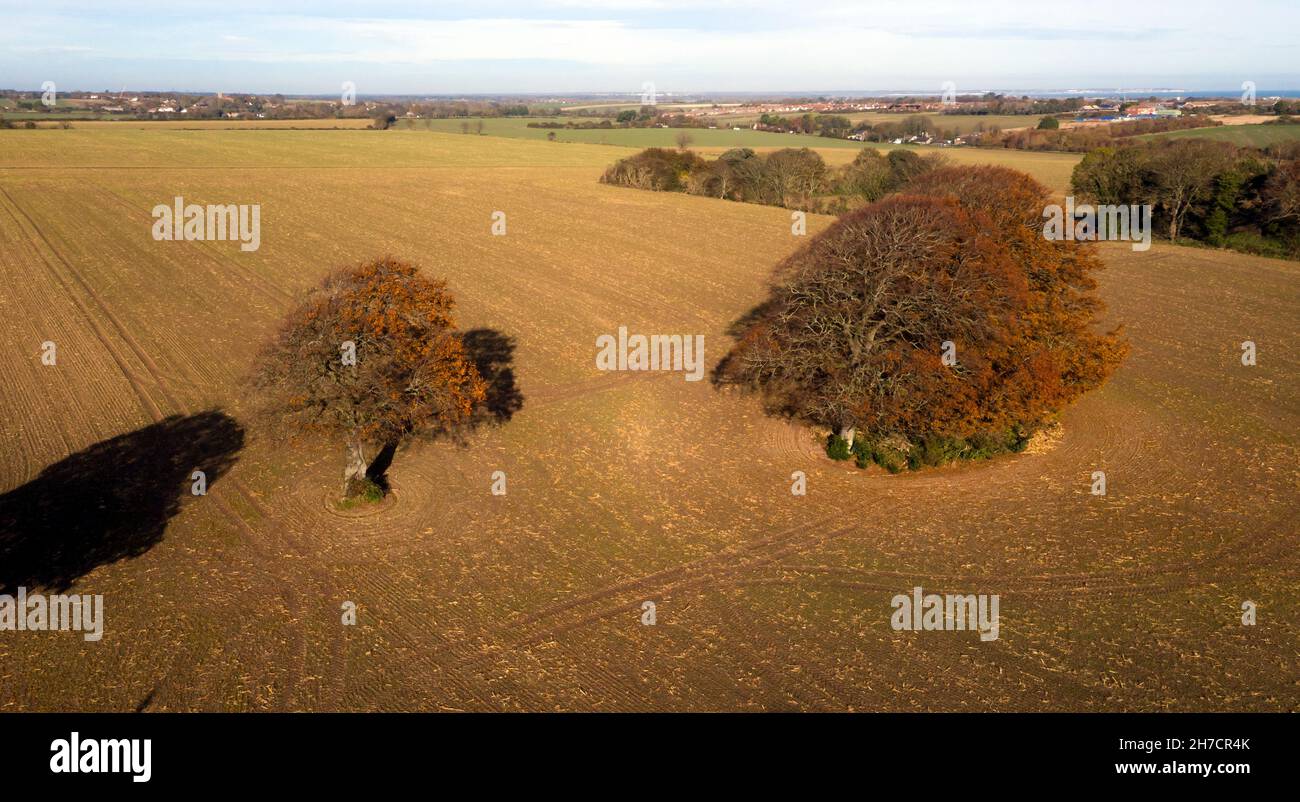 Aaerial view of a field on Coldblow Farm, Ripple, Kent Stock Photo - Alamy