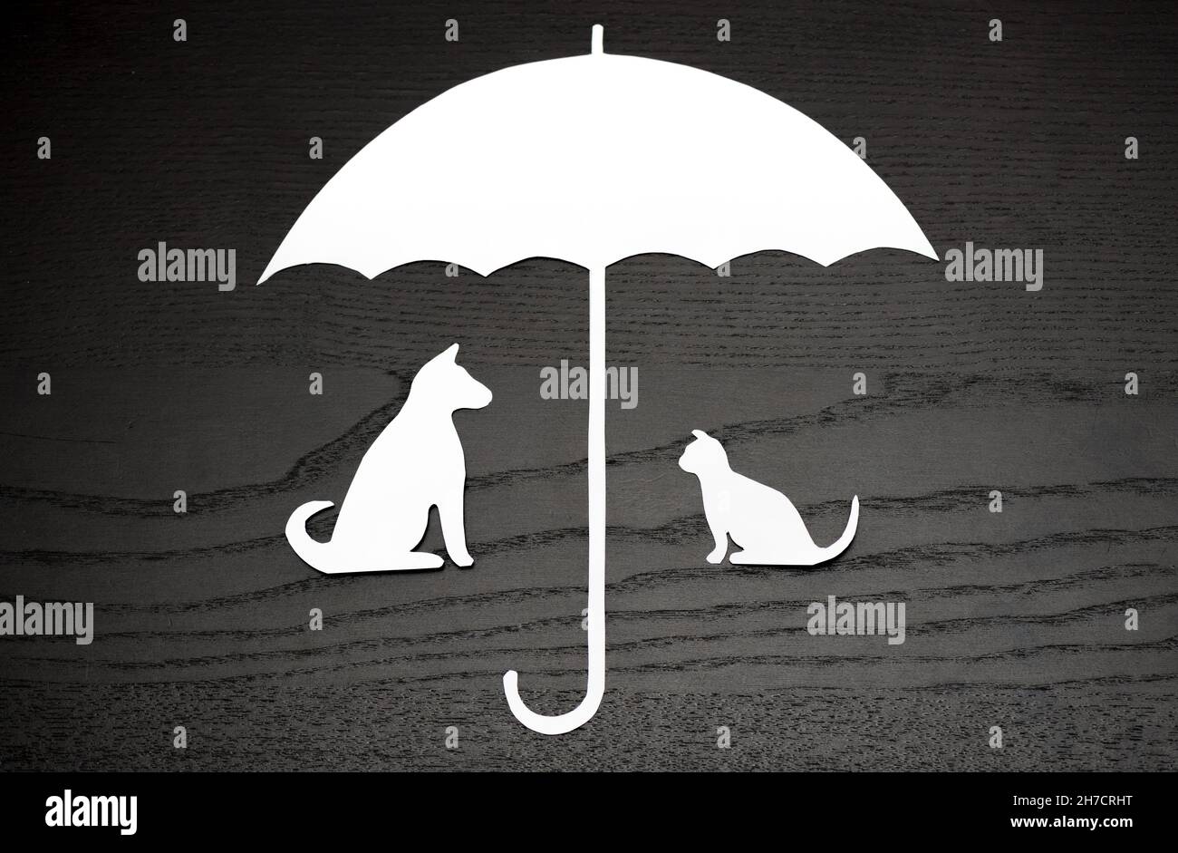 Concept of pet protection coverage Stock Photo - Alamy