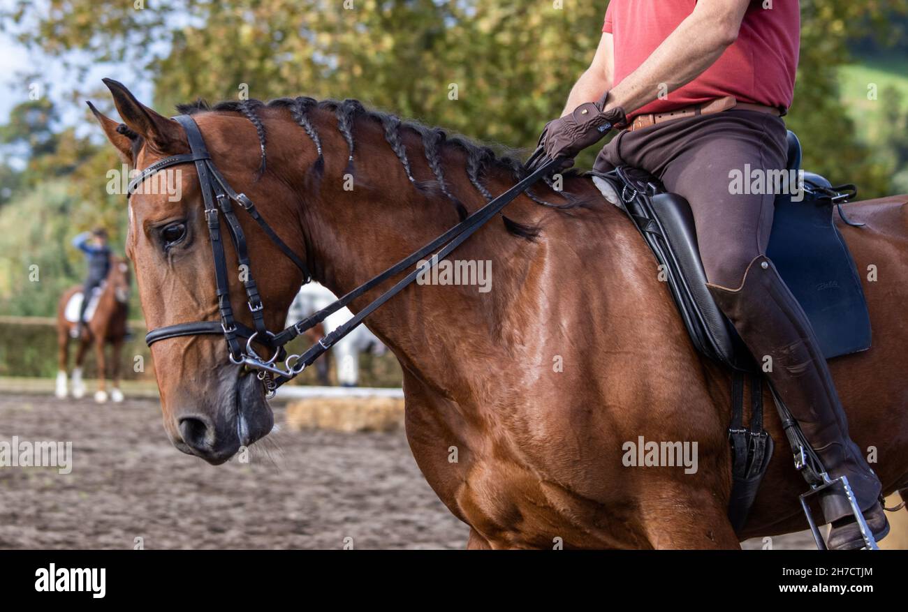 Working equitation hi-res stock photography and images - Alamy