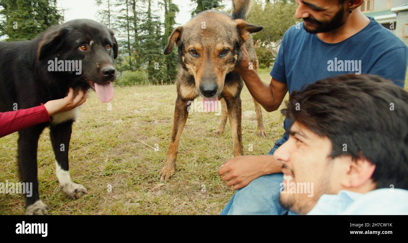 South indian hound hi-res stock photography and images - Alamy