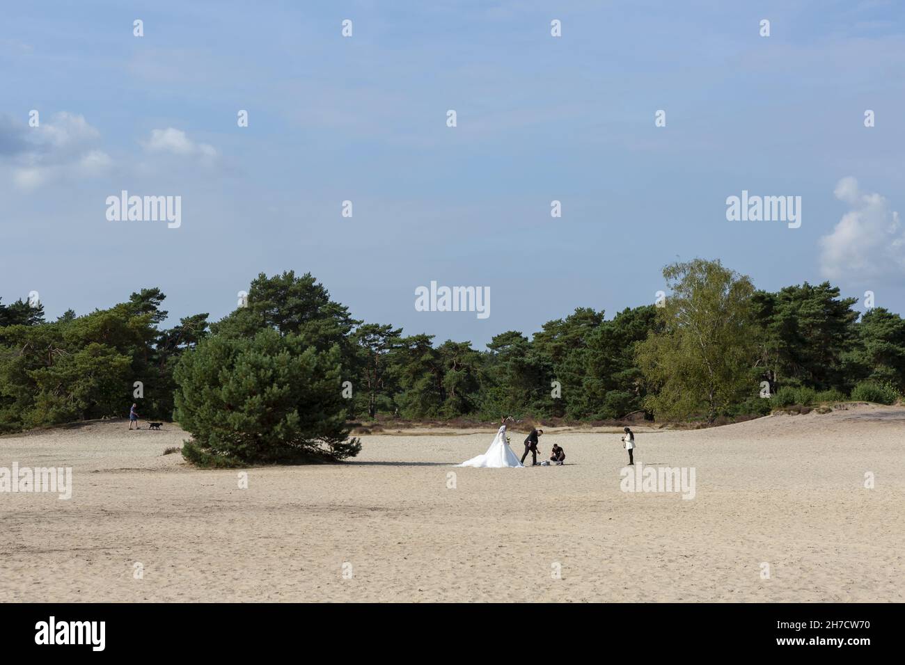 SOEST, NETHERLANDS - Oct 20, 2021: Soesterduinen drift sanddune ...