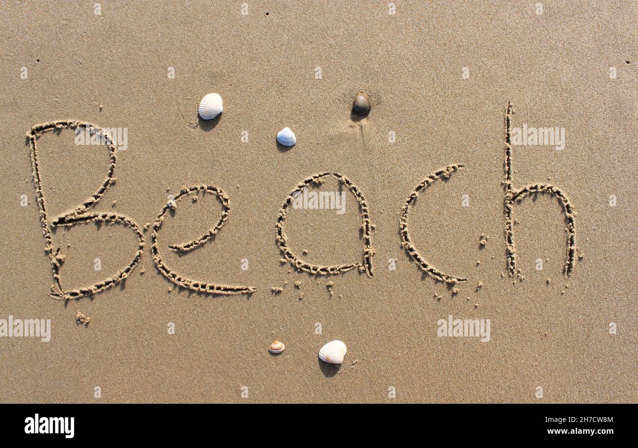 On the beach, the words Beach are carved in letters in the smooth sand ...