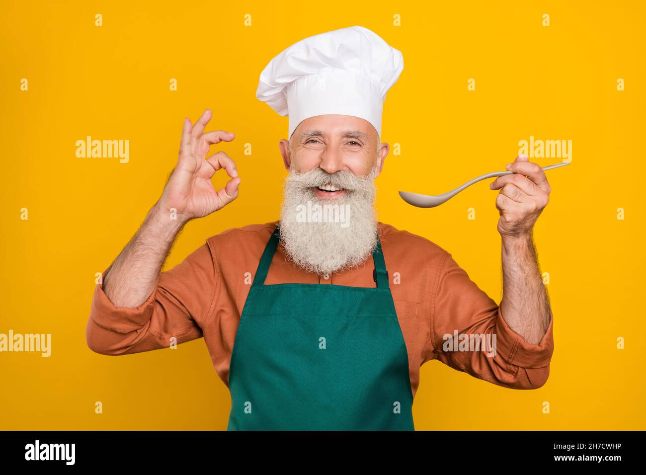 Portrait of attractive cheerful grey-haired man chef making meal ...