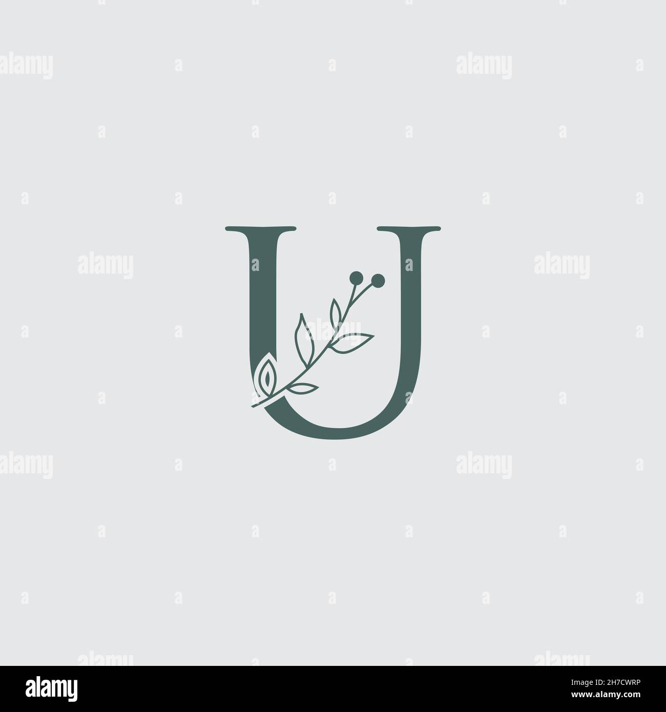 Graphic Floral Initial Alphabet U flowers bouquet composition. Unique ...