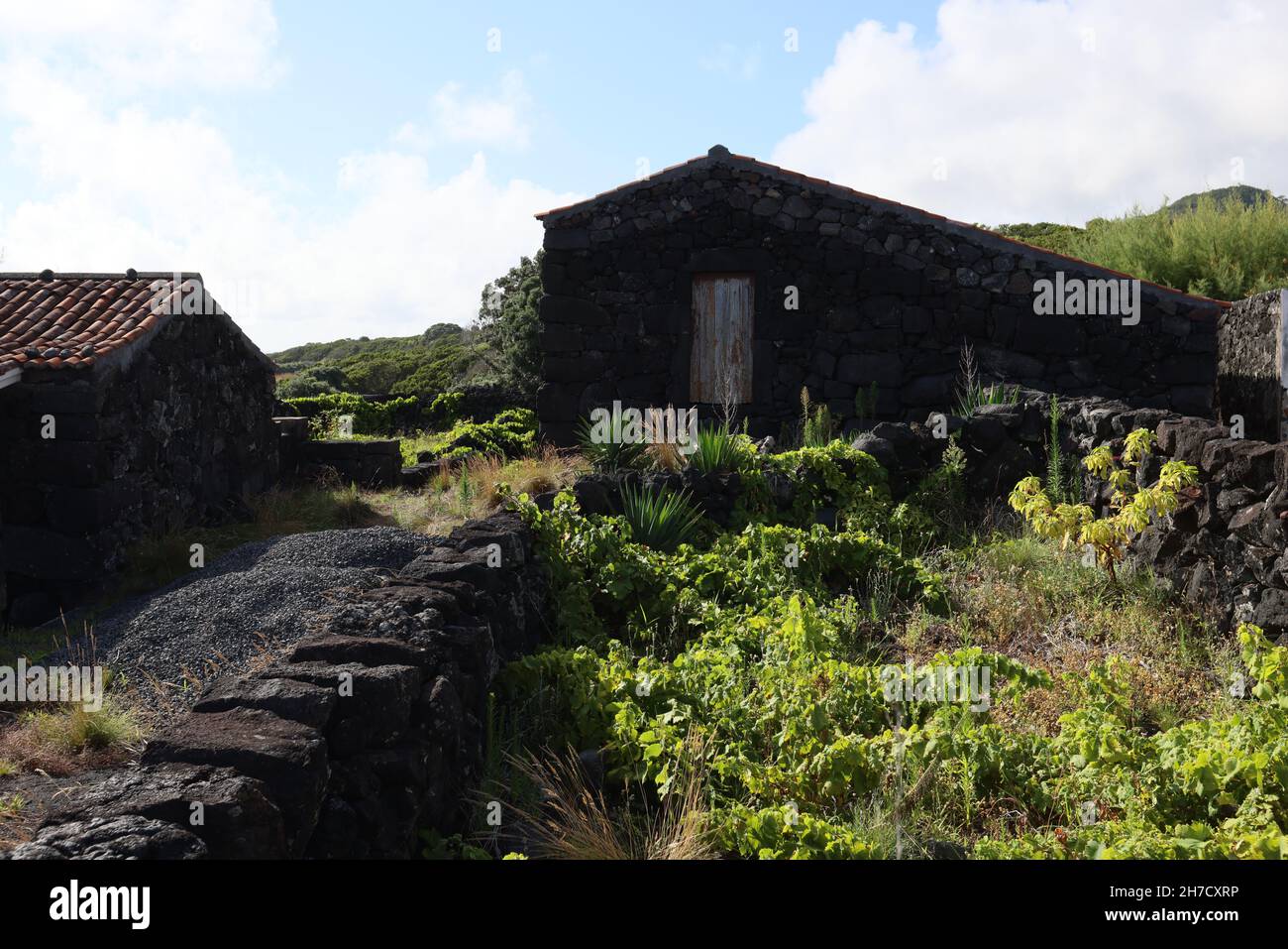 Ancient fishing village, Pico island, Azores Stock Photo - Alamy