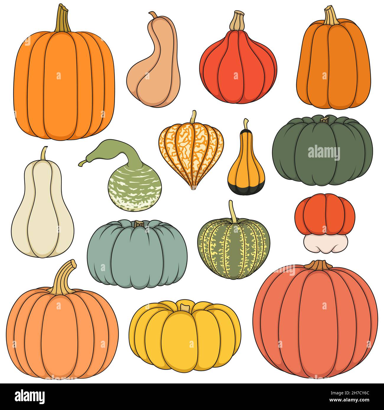 Set of color illustrations with pumpkins of different shapes and ...