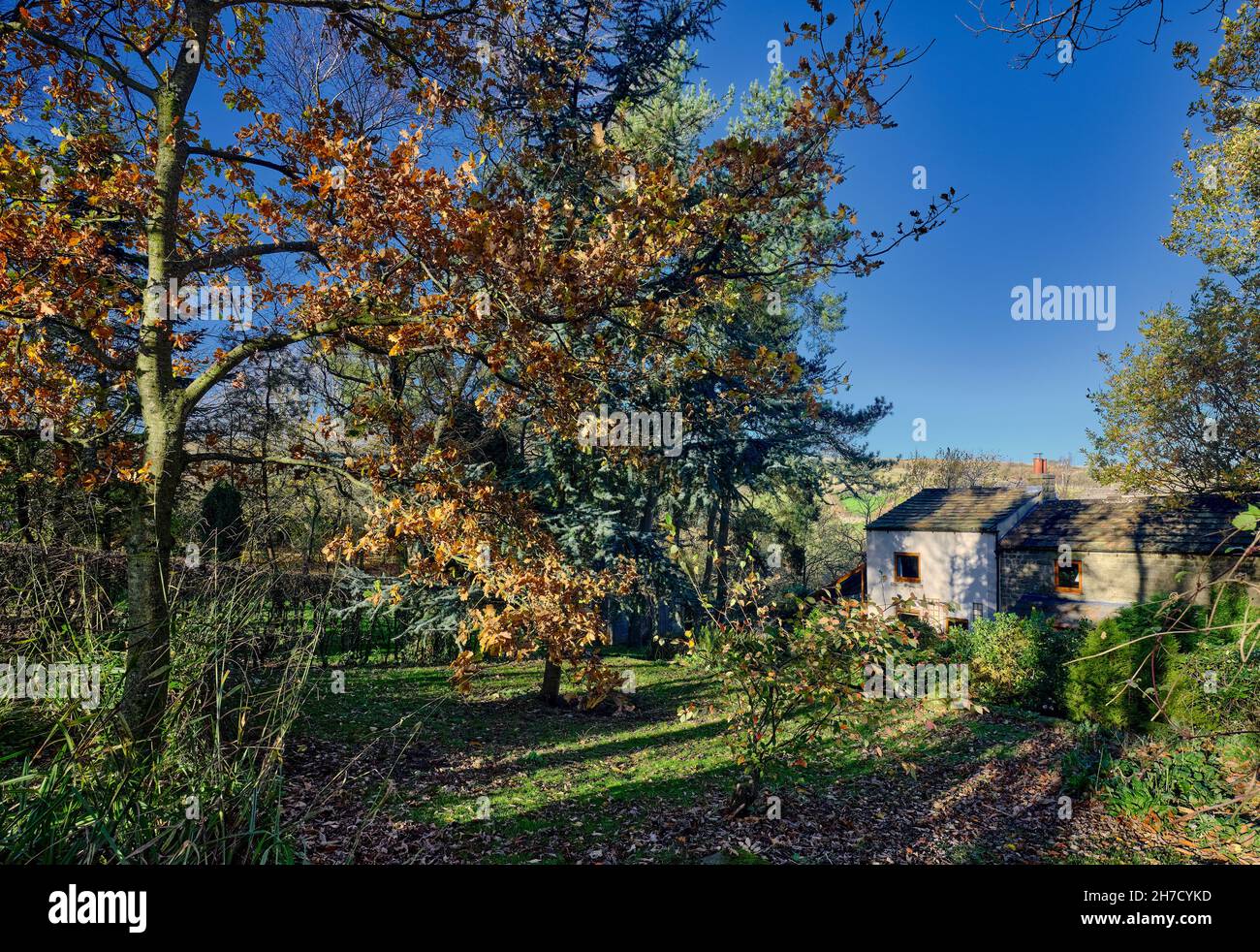 November sunshine hi-res stock photography and images - Alamy