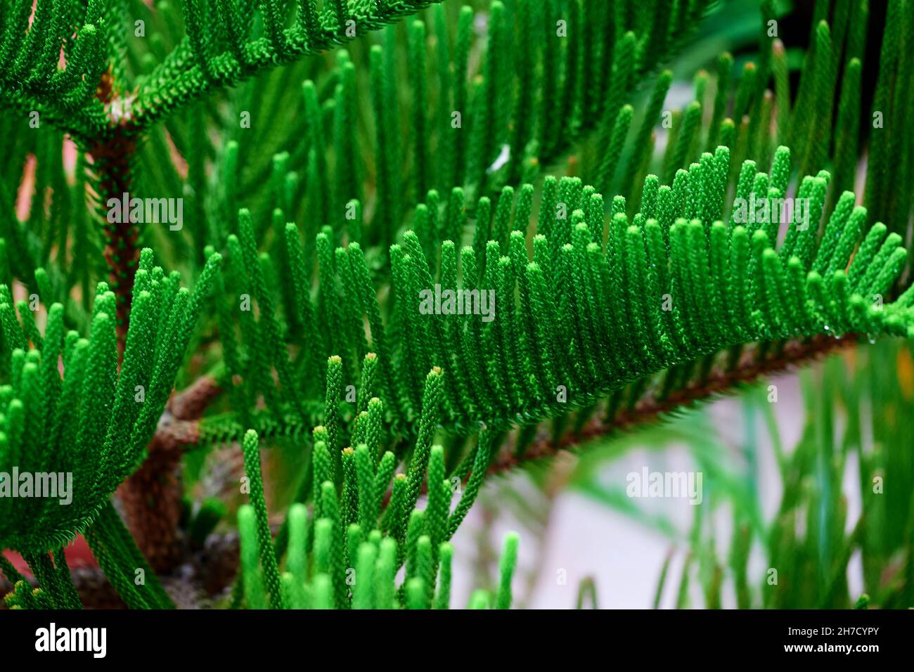 Raindrop pattern hi-res stock photography and images - Alamy