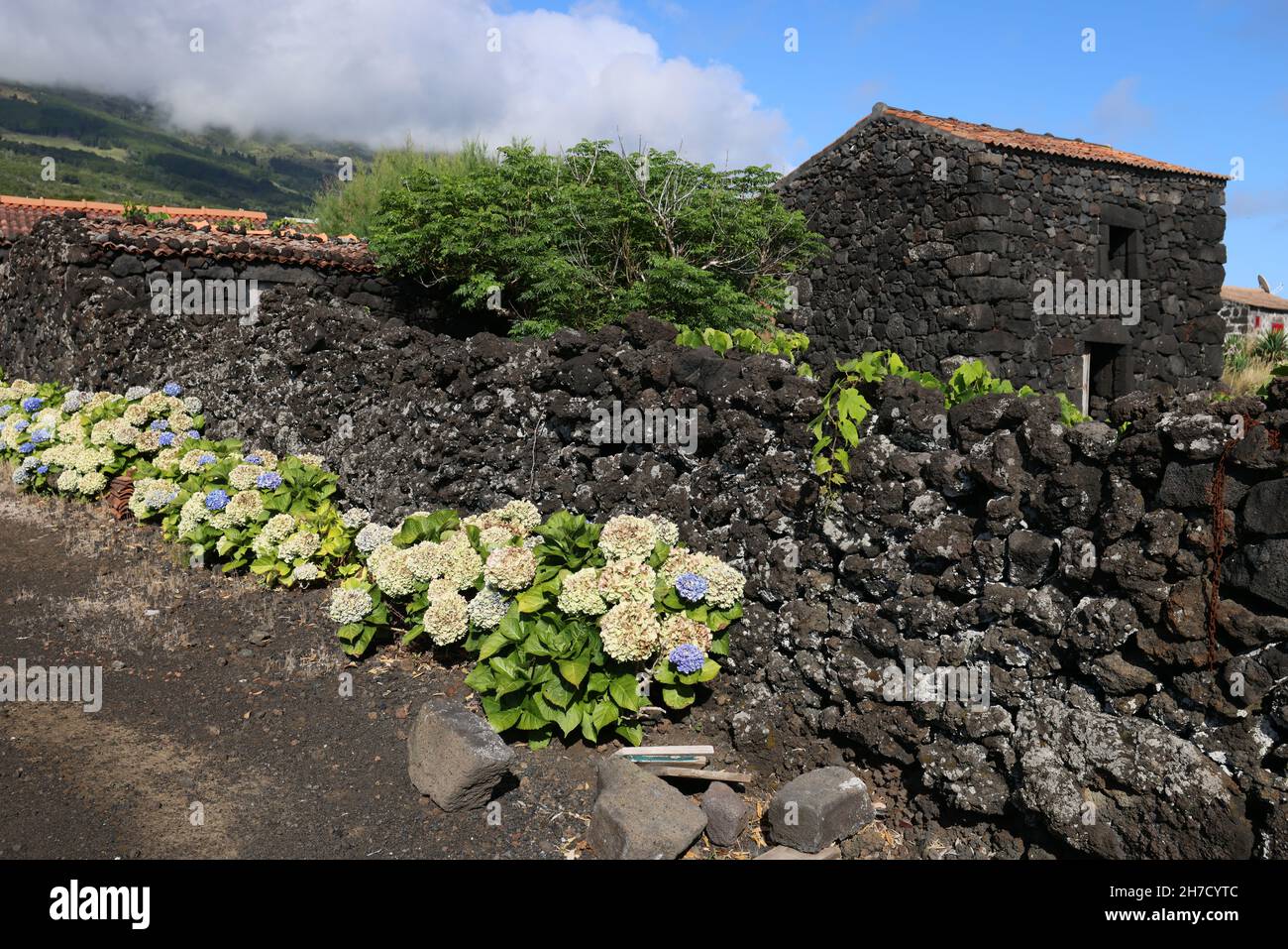 Ancient fishing village, Pico island, Azores Stock Photo - Alamy
