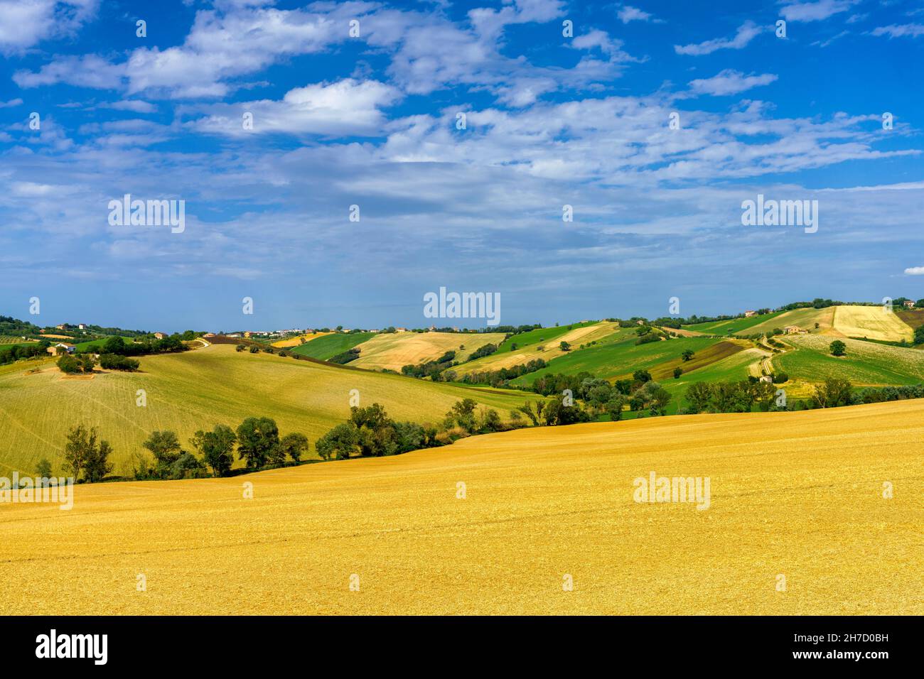 Country landscape along the road from Ostra Vetere to Cingoli, Ancona ...