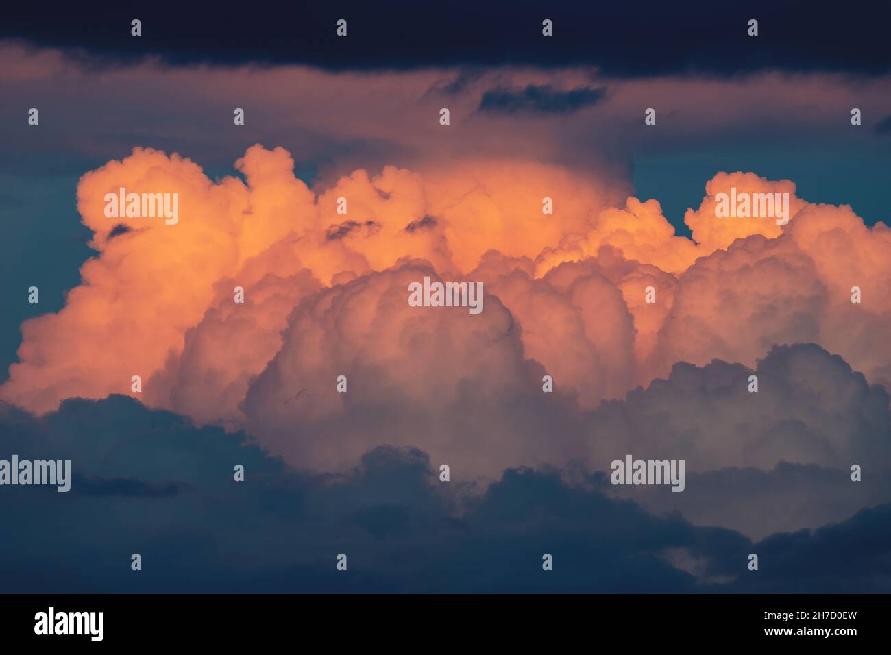 A huge cumulus cloud and a forming thunderstorm front illuminated by ...