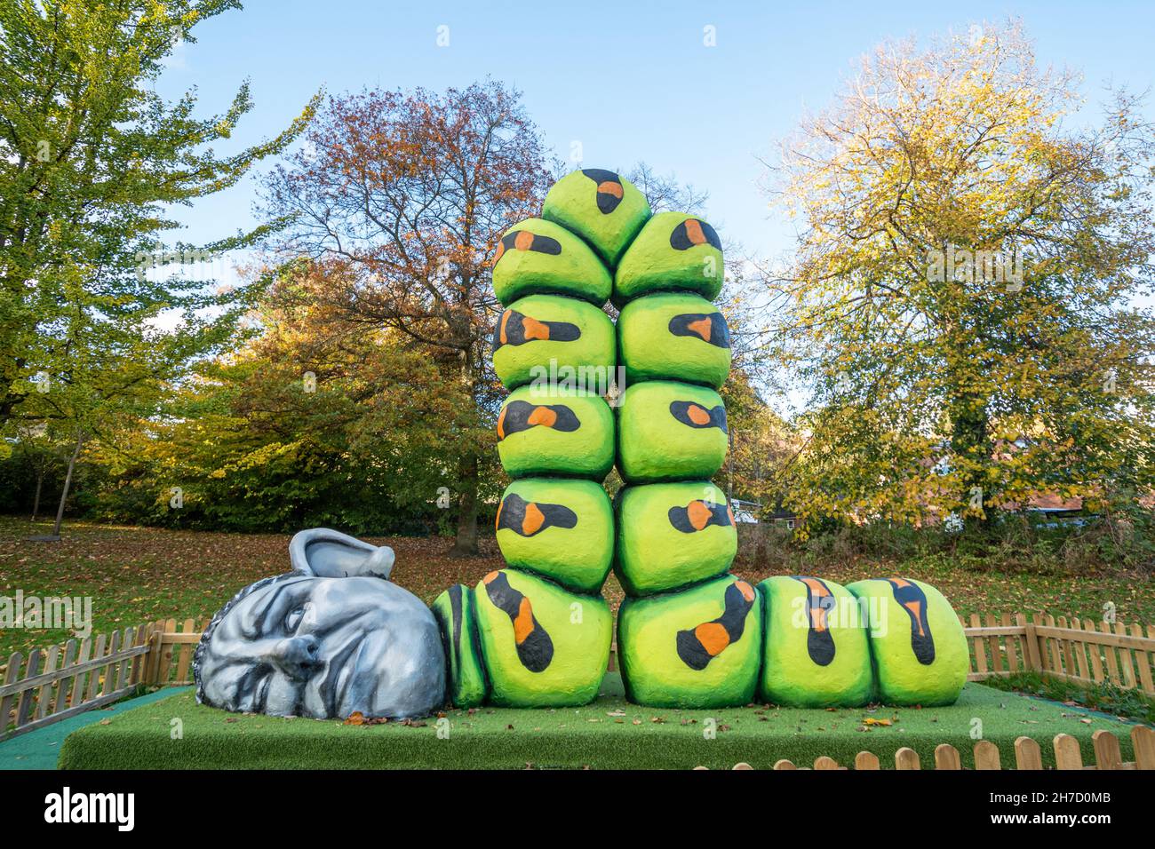 Biggest Human Head In The World