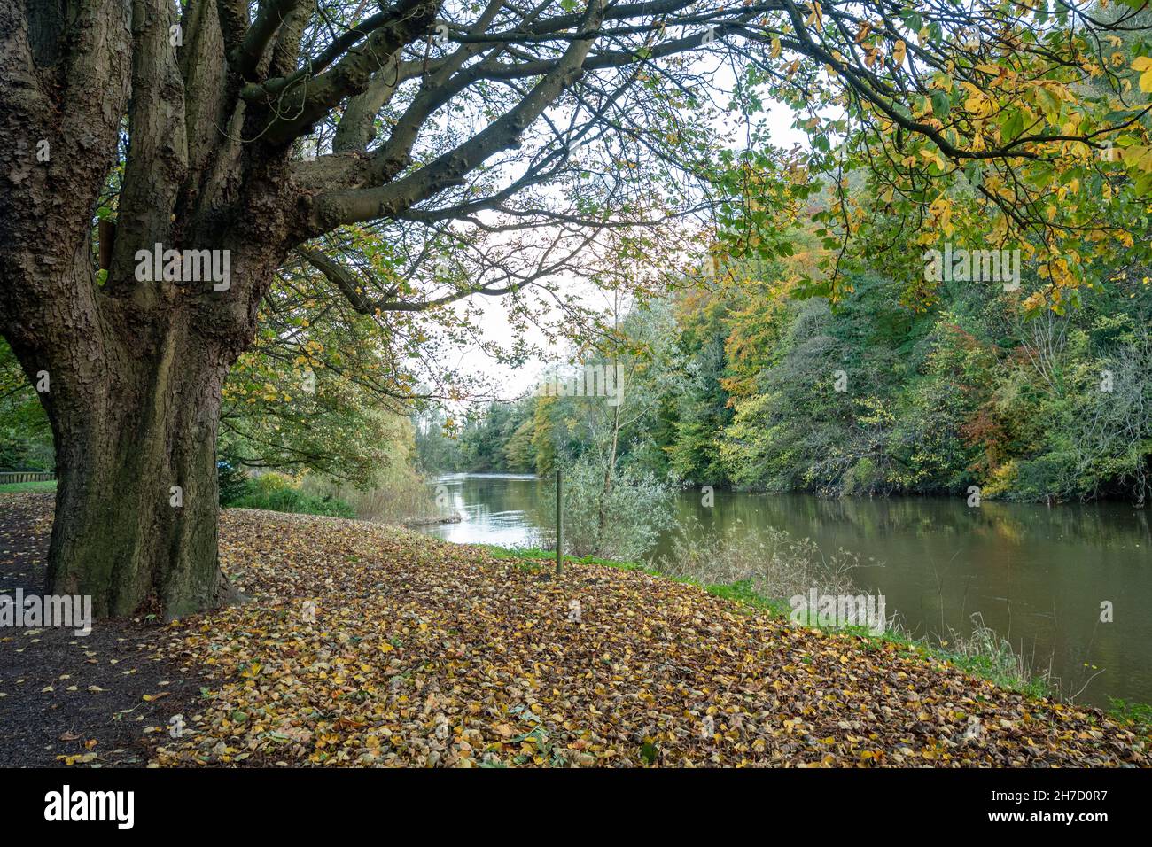 Dale End Park in Ironbridge, Shropshire, England, UK, beside the River ...