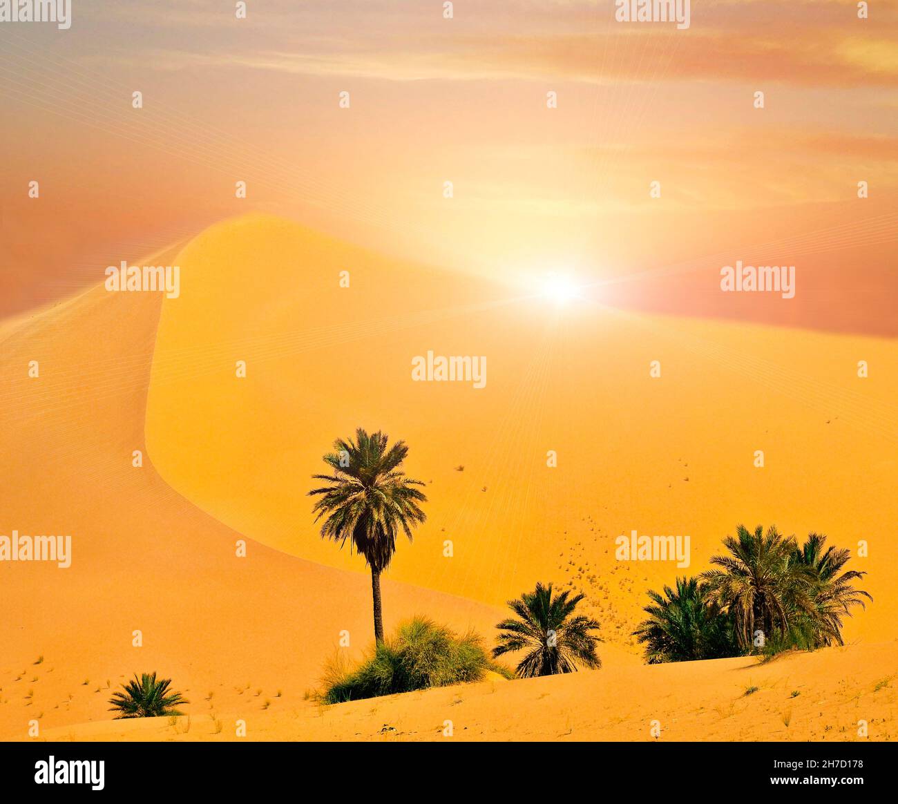 panoramic sahara scenic and sun flare Stock Photo - Alamy