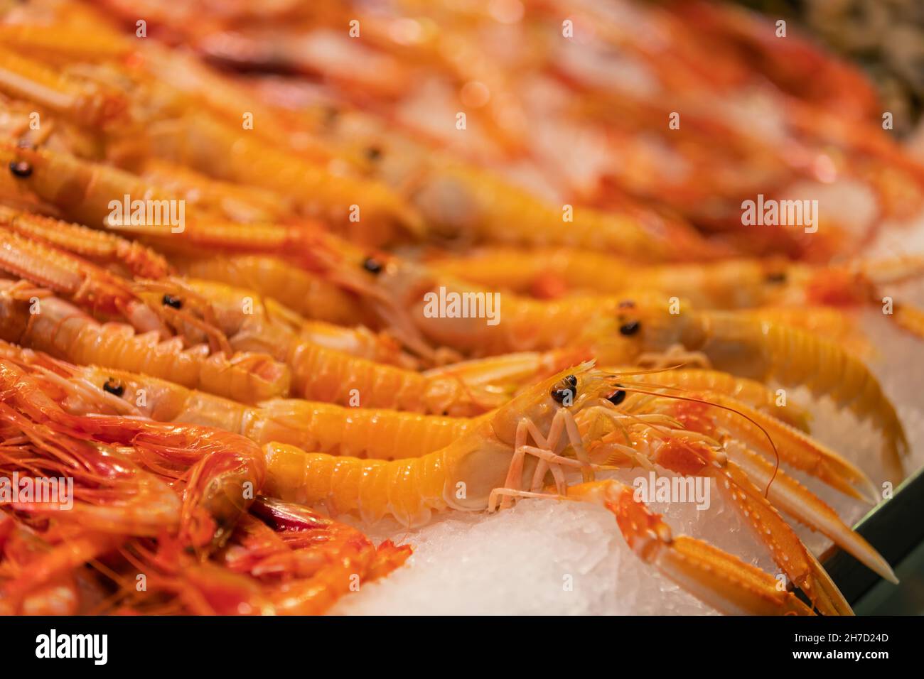 Seafood on ice at the fish market Stock Photo - Alamy