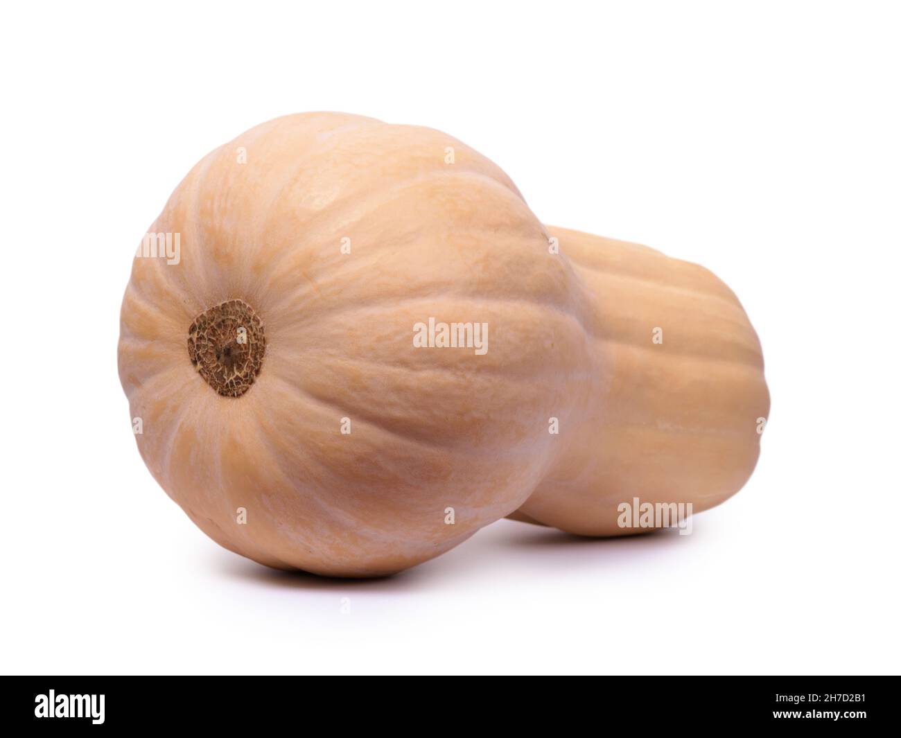 Long ripe pumpkin isolated on white background Stock Photo - Alamy