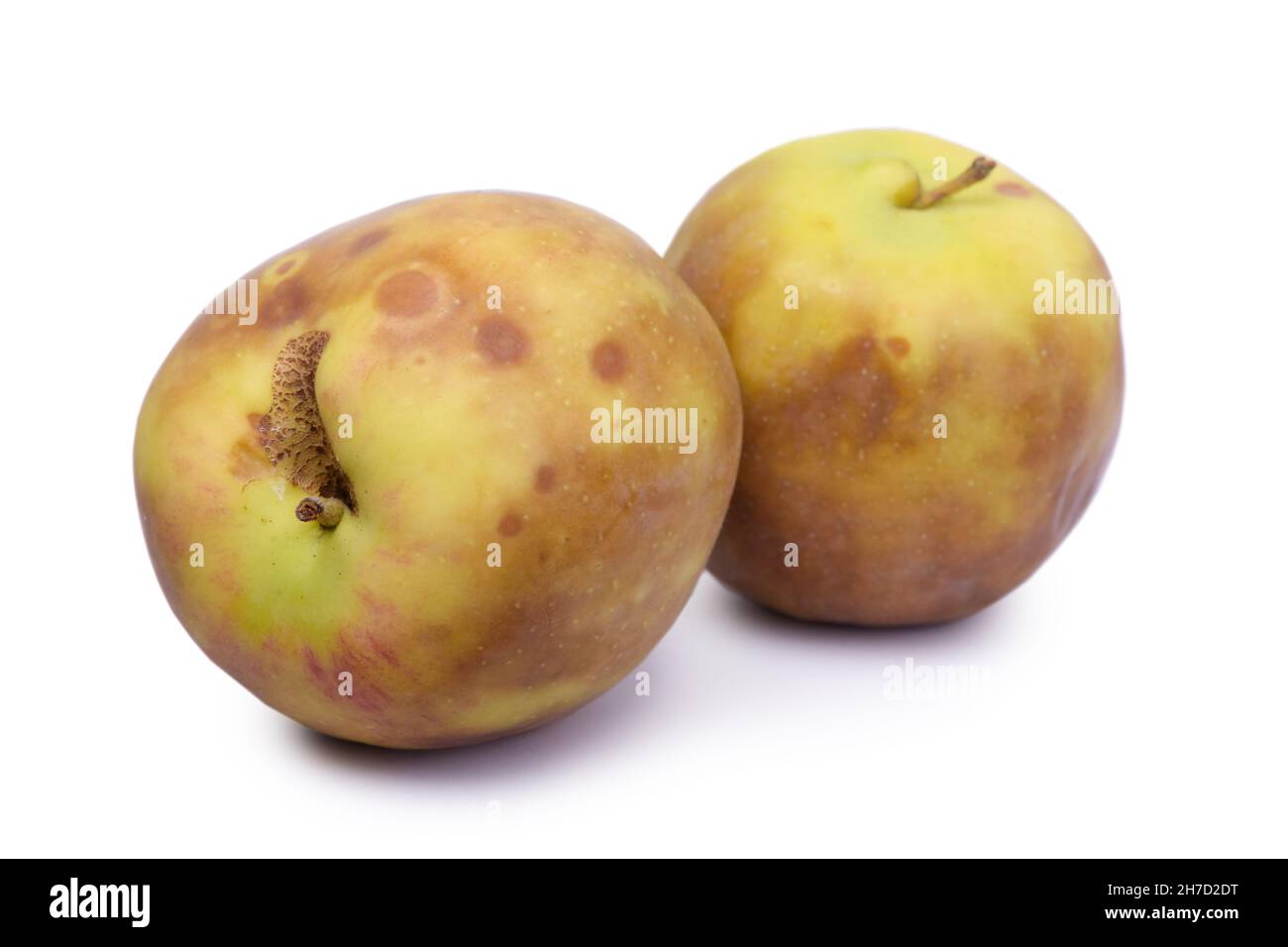 Yellow rotten apple isolated on white background Stock Photo - Alamy