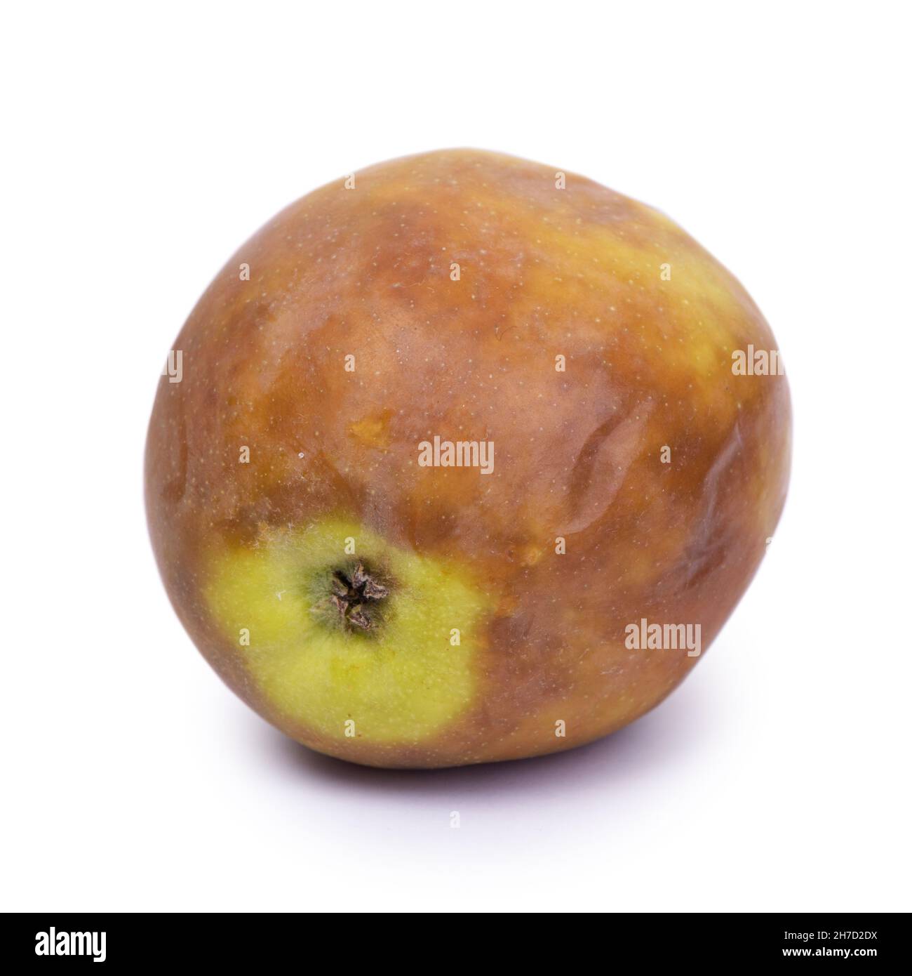 Yellow rotten apple isolated on white background Stock Photo - Alamy