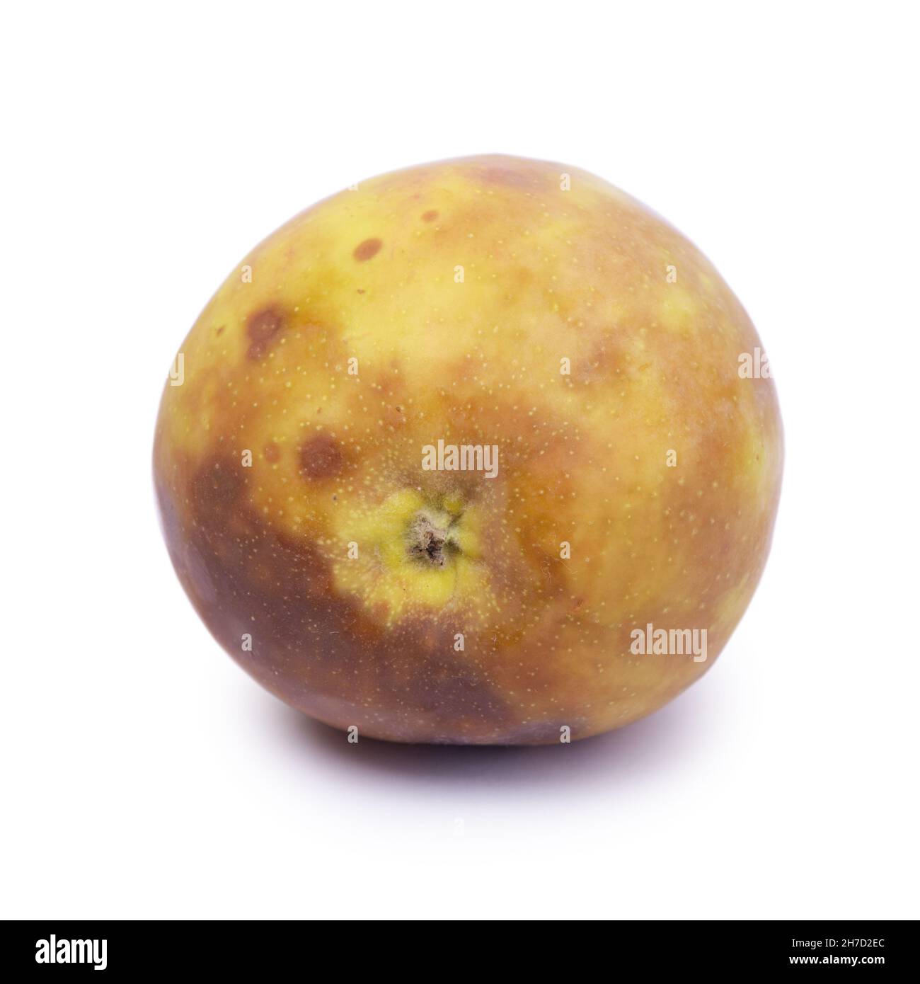 Yellow rotten apple isolated on white background Stock Photo - Alamy