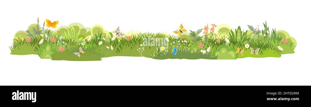 Meadow. Summer herbal glade. Grass close up. Flowers. Rural beautiful ...