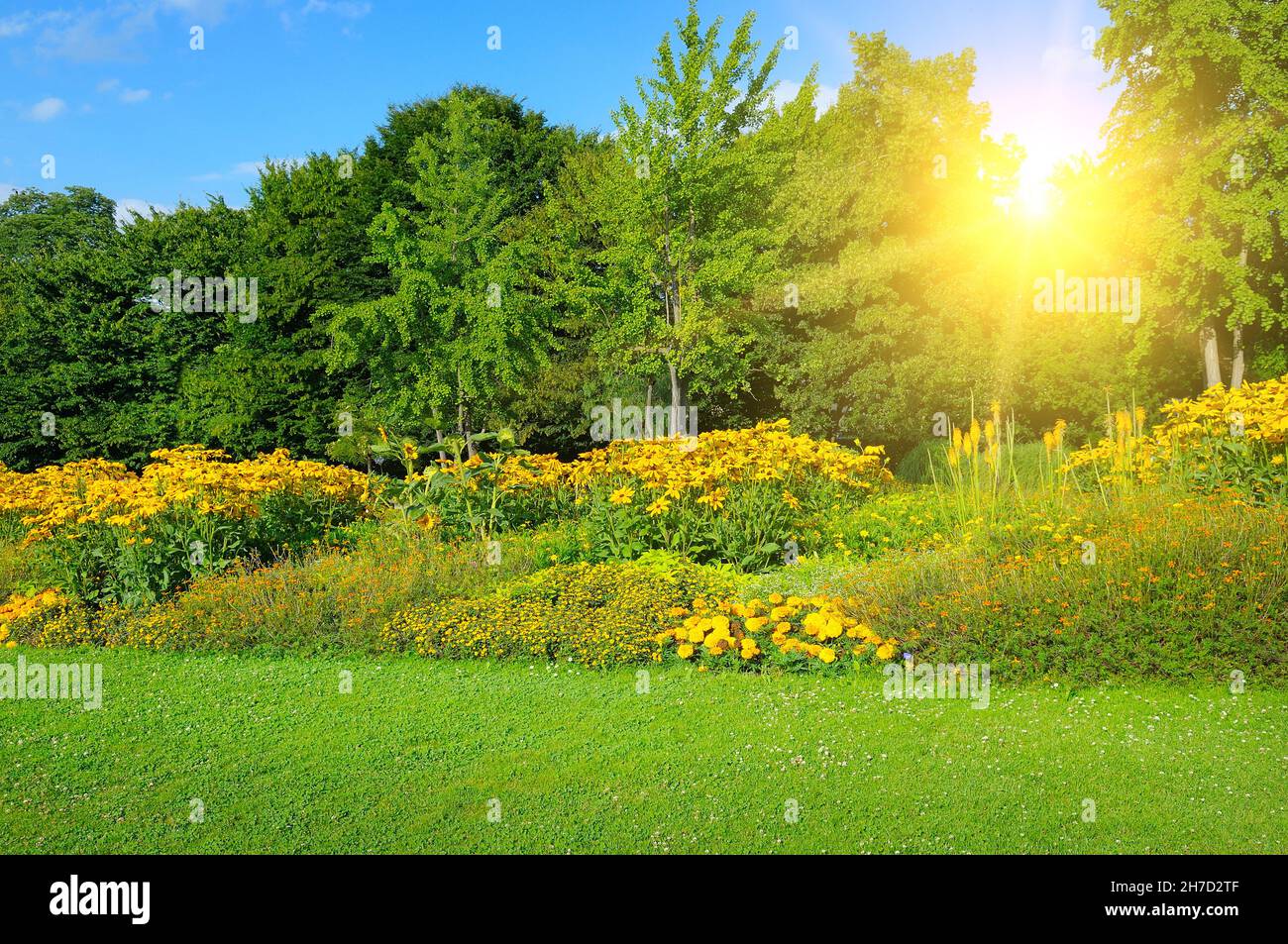 Park with beautiful flowerbeds and sun. Spring landscape Stock Photo ...