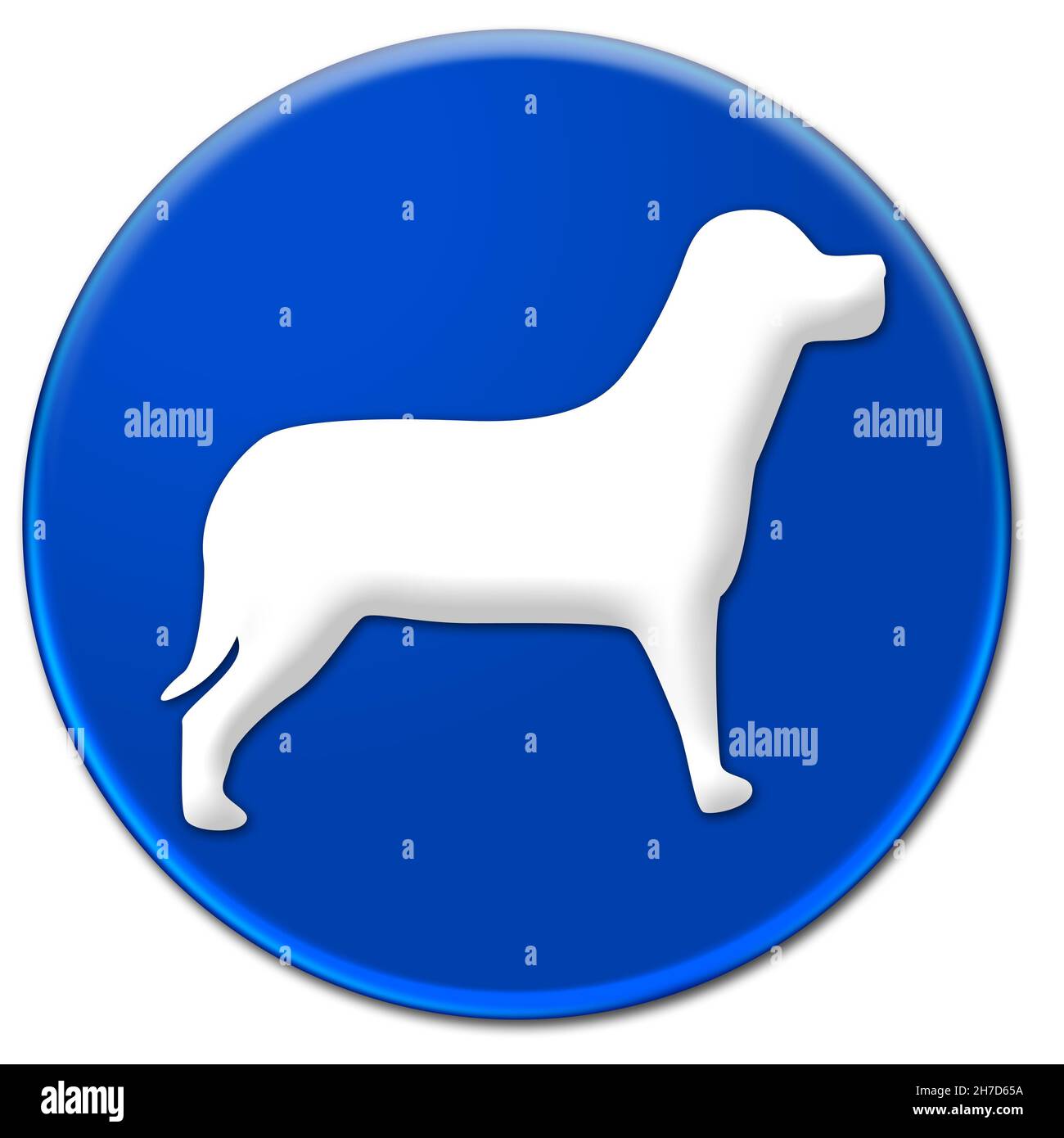 Dog sign on a blue glassy button isolated over white background Stock ...