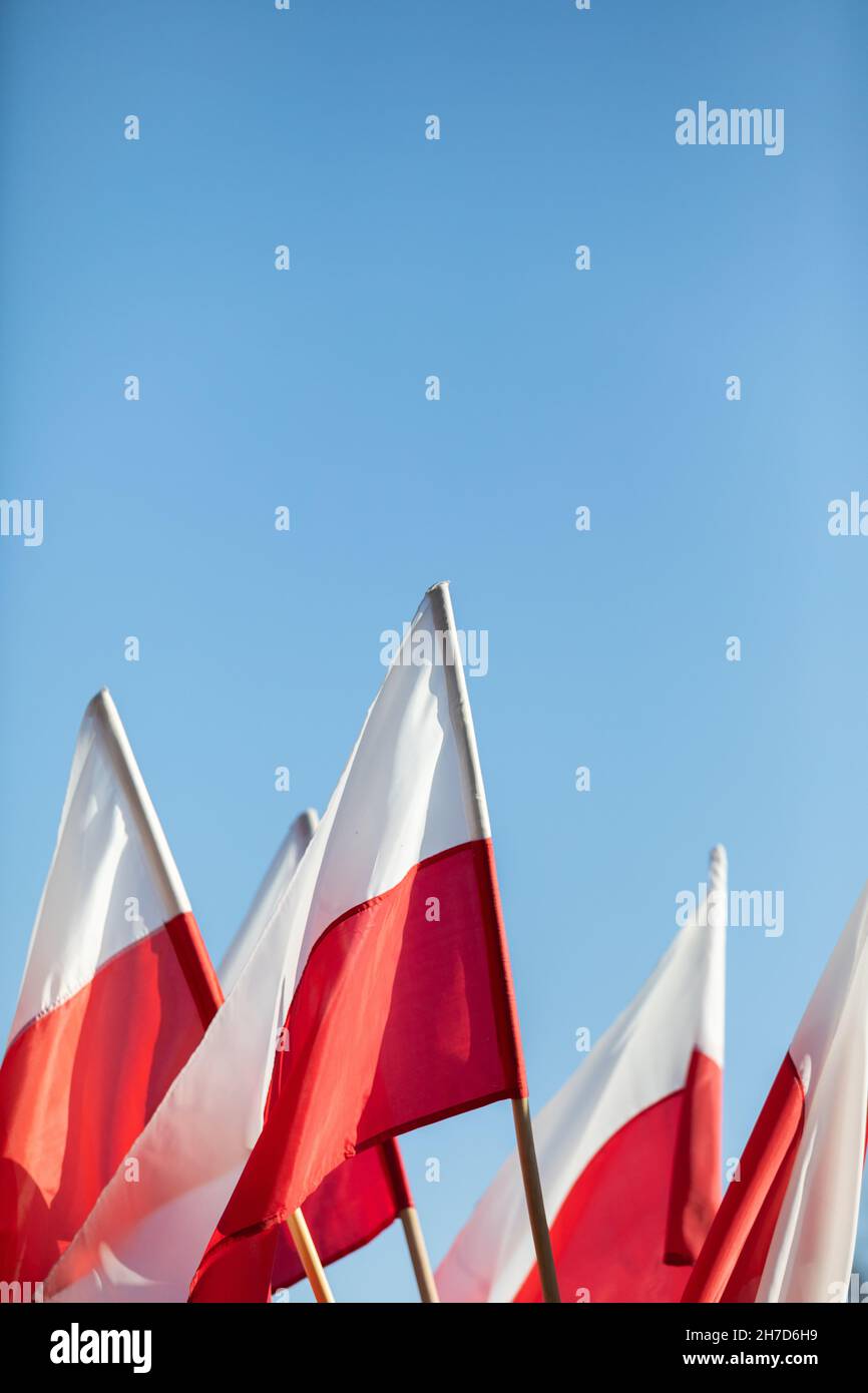 A group of red and white flags of the Polish state flutter in the wind ...