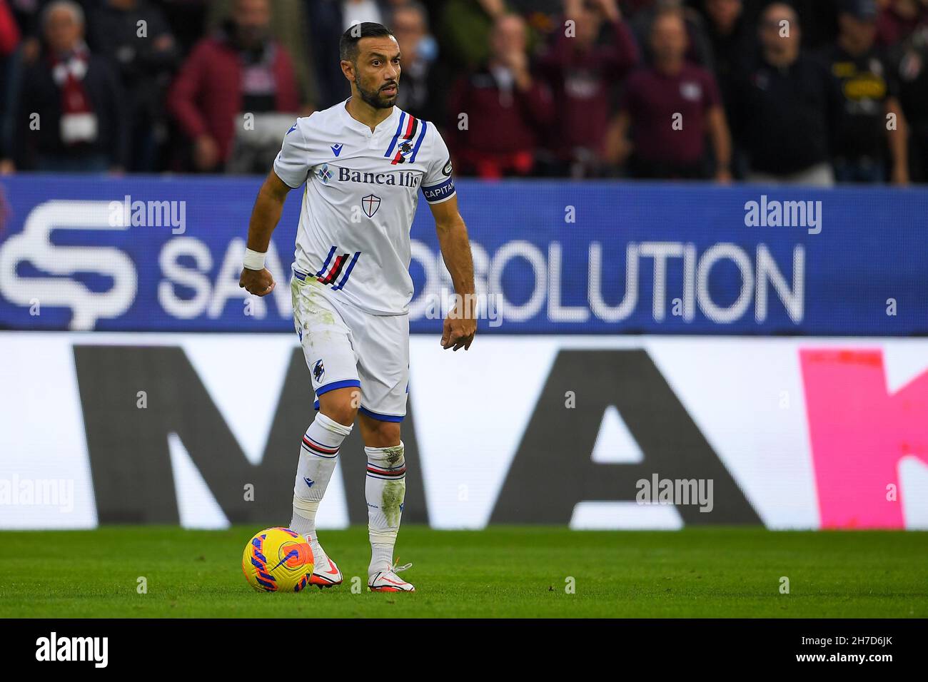 Quagliarella hi-res stock photography and images - Alamy