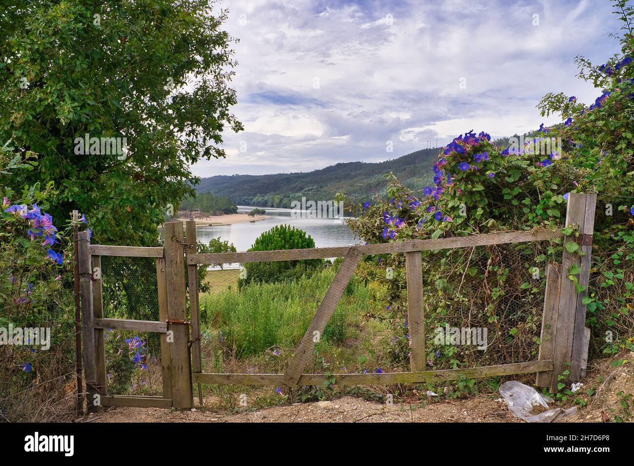 Baank of the Douro river. Beautiful summer landscape Stock Photo - Alamy