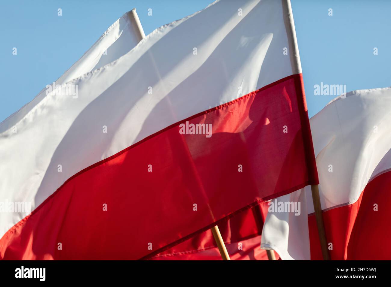 A group of red and white flags of the Polish state flutter in the wind ...